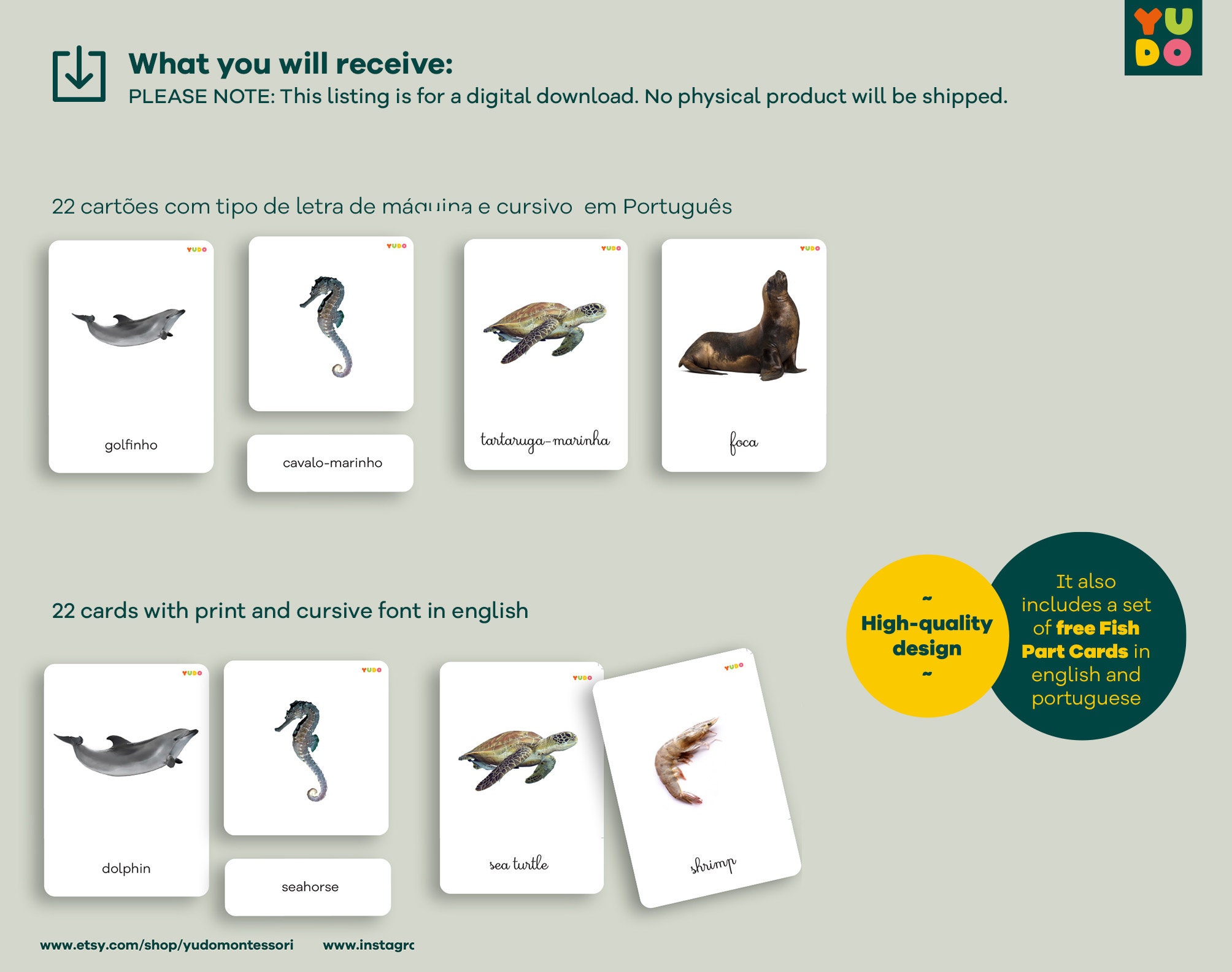 SEA ANIMALS Language Cards, Sea Life Animals Nomenclature Cards ...