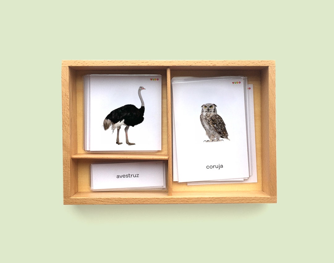 BIRDS Language Cards for Kids, Montessori Education Tool, Vocabulary ...
