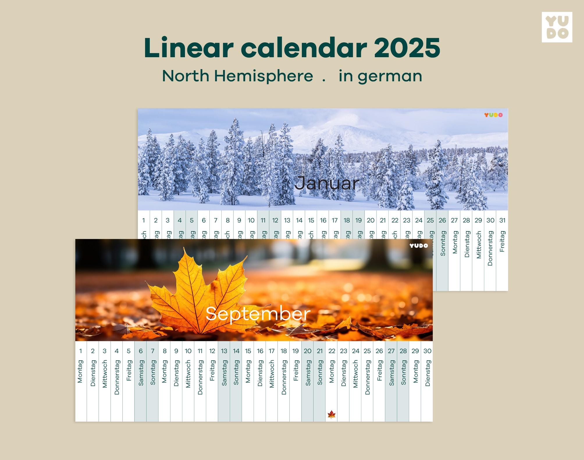 Annual Calendar for Kids, Visual Calendar 2025, School Calendar in ...