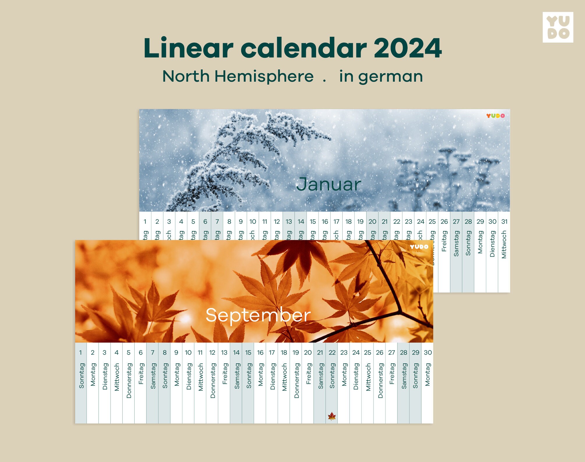 Annual Calendar for Kids, Visual Calendar 2024, School Calendar in ...