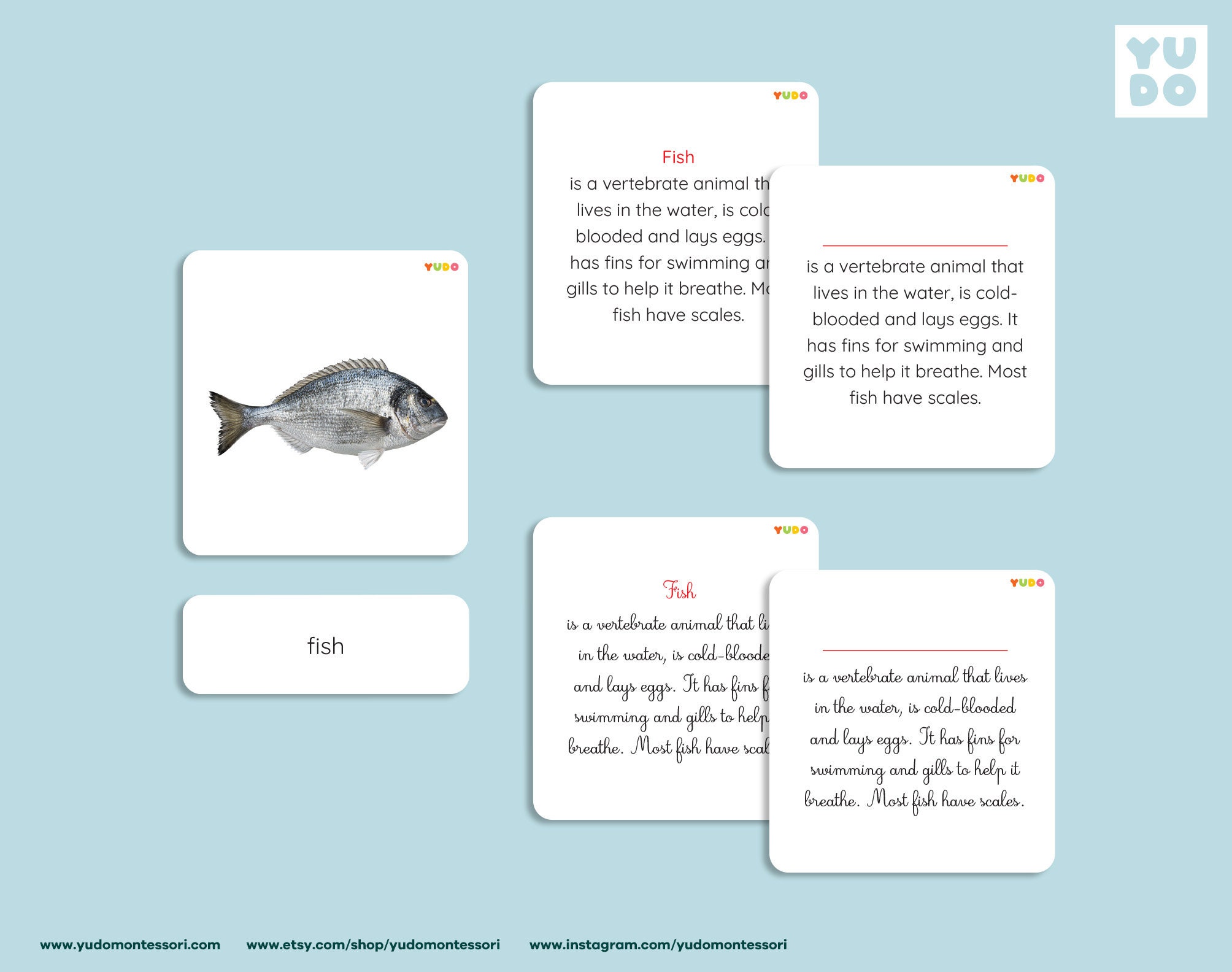 Parts of a Fish Nomenclature Book 3 Part Cards Fish Anatomy Definitions ...
