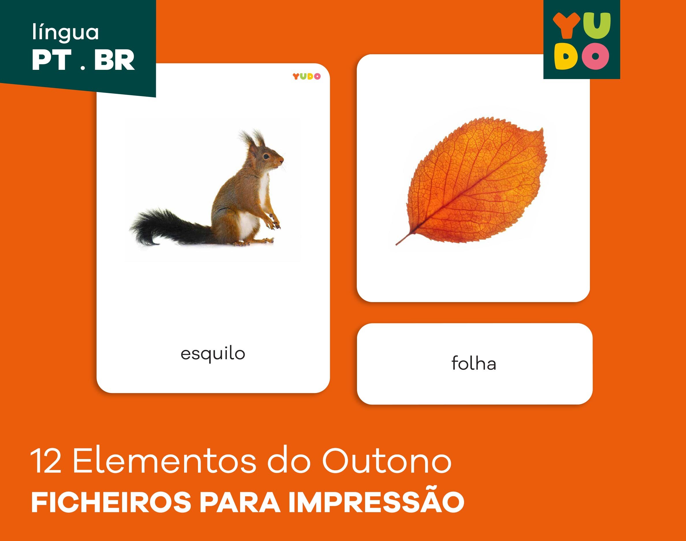 AUTUMN Vocabulary. FALL Elements. Montessori 3 Part Cards. Montessori ...