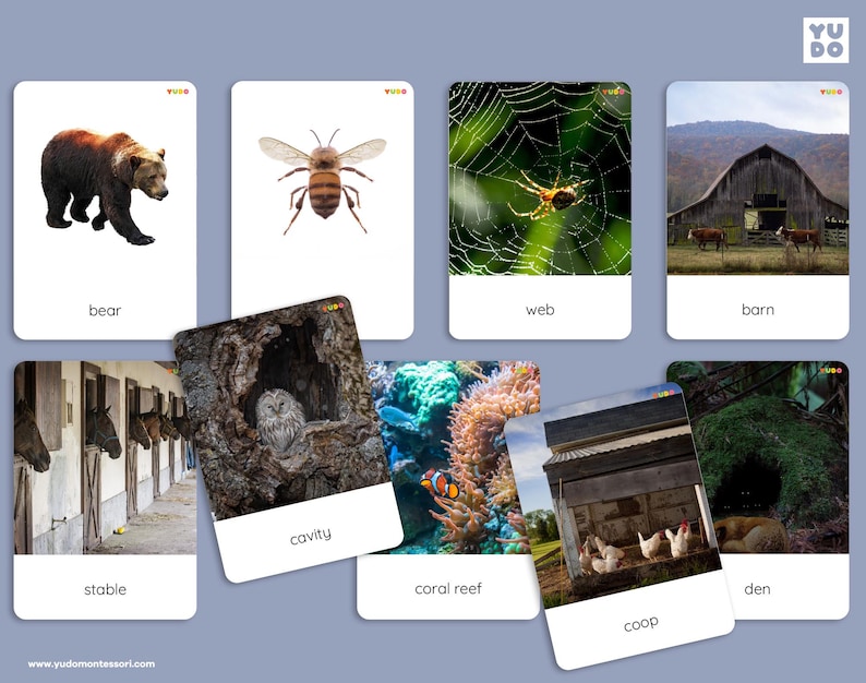 28 Montessori Animal Homes 3 Part Cards for Kids, Animals and Their ...