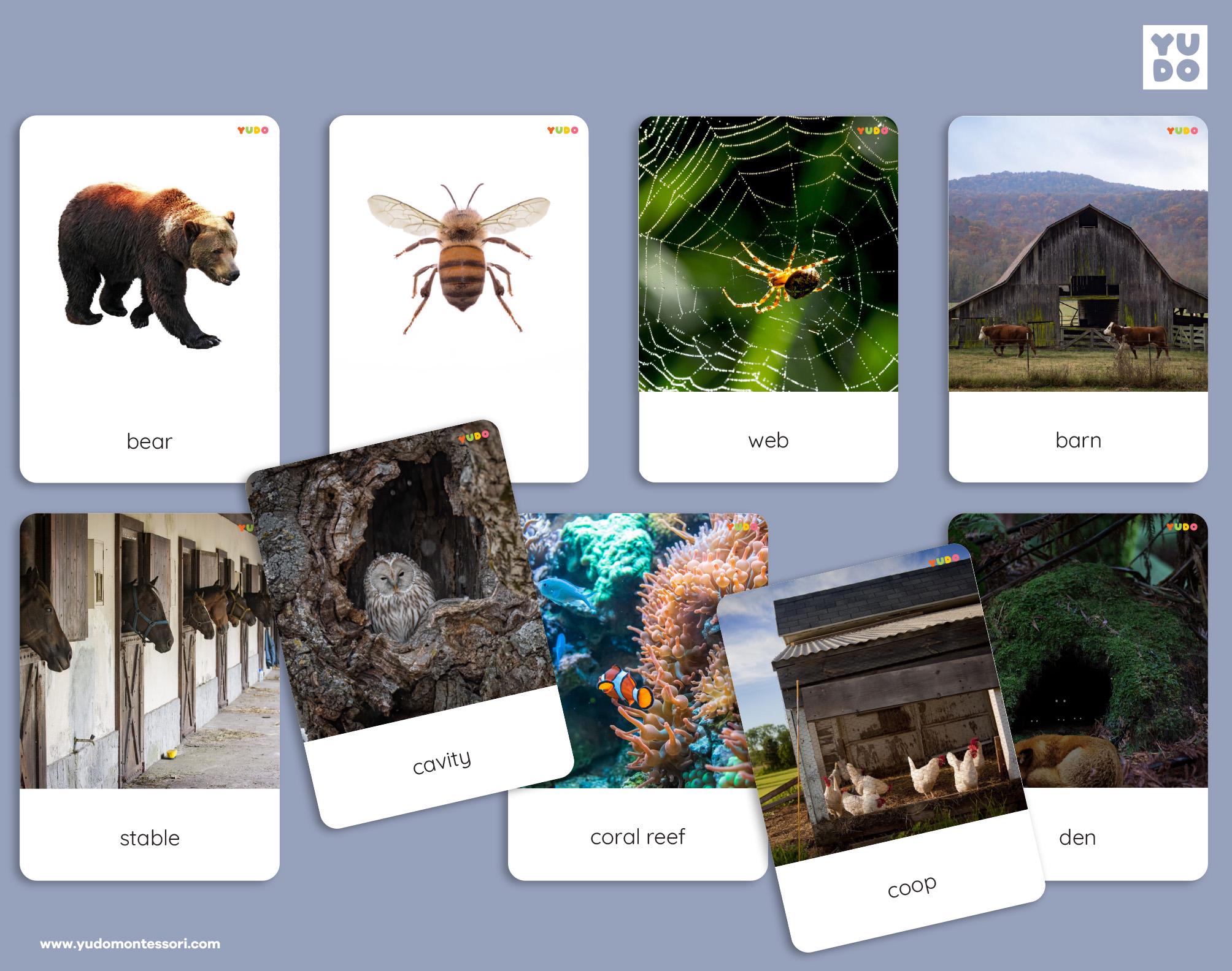 28 Montessori Animal Homes 3 Part Cards for Kids, Animals and Their ...