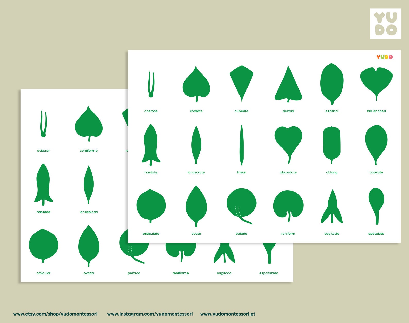 Montessori Leaf Shapes Control Chart, Montessori Botany Cabinet Cards ...