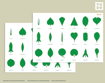 Montessori Leaf Shapes Control Chart Montessori Botany - Etsy