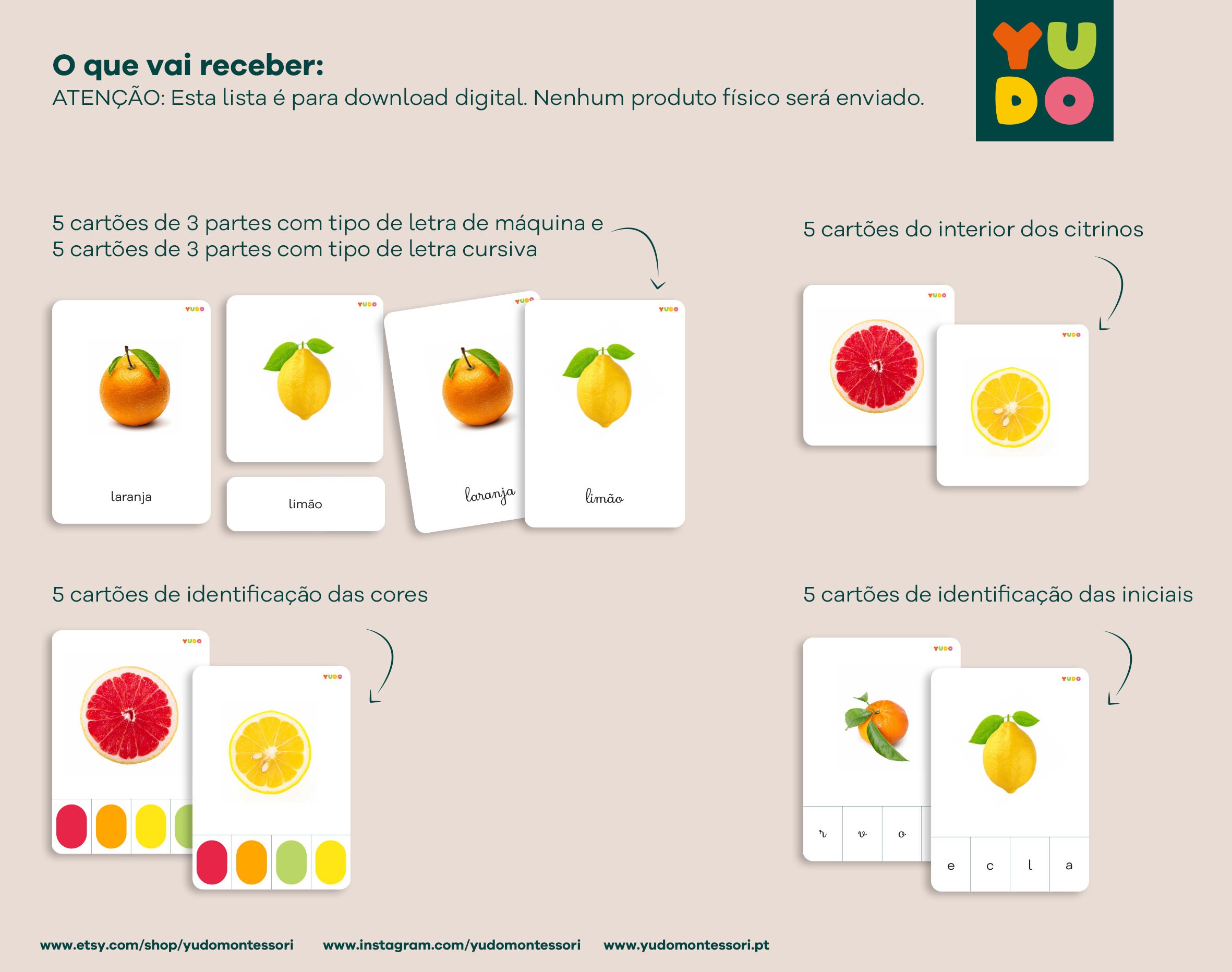 CITRUS Activity Homeschool. Fruits of the Winter Season. Montessori ...
