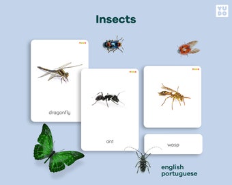 Bugs Insects Cards 28 Cards Montessori Insect 3 Part Cards - Etsy