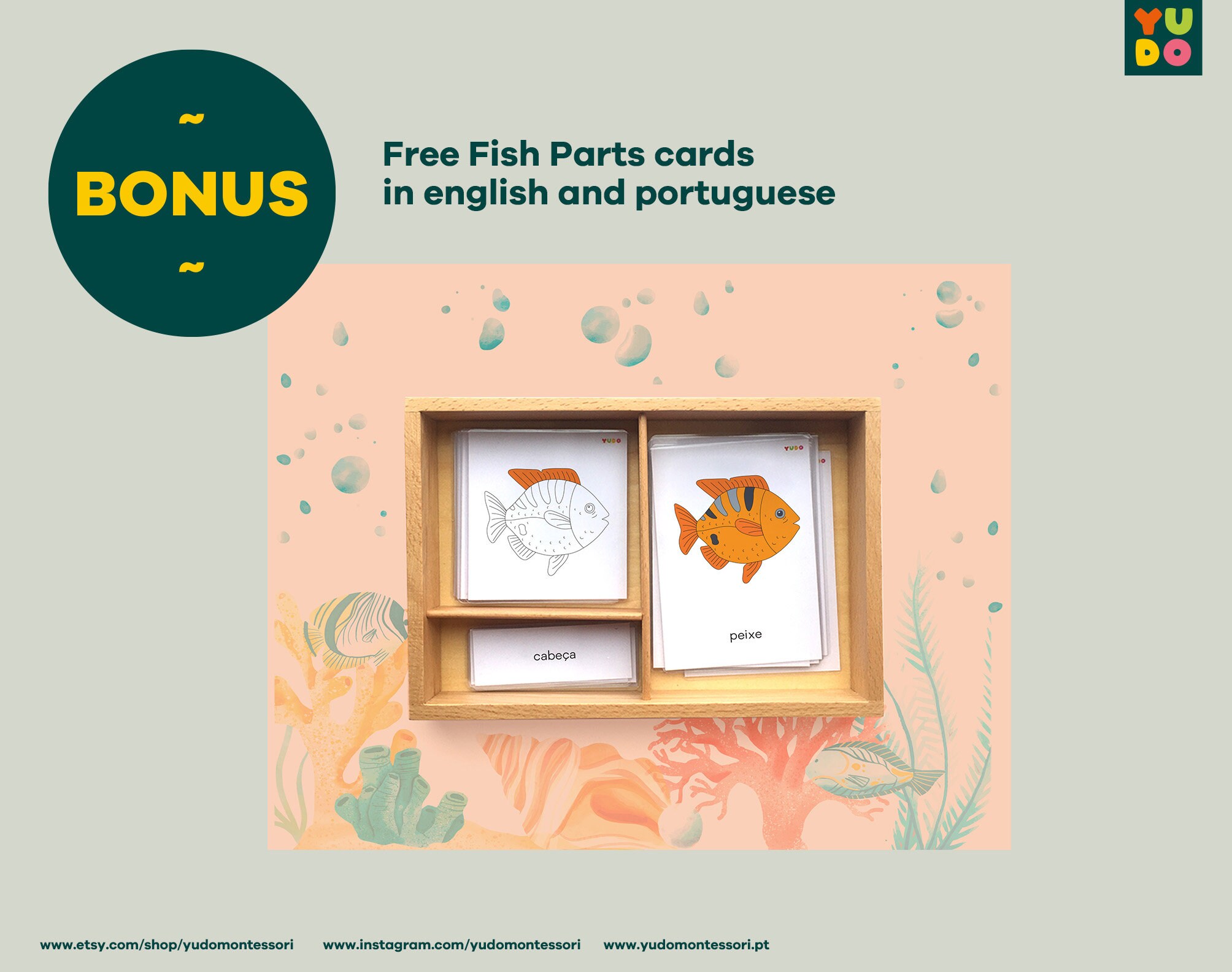 22 OCEAN ANIMALS Montessori Cards, Aquatic Creatures Flashcards ...