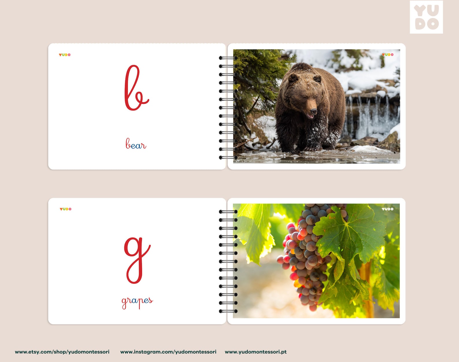 Beginning Sounds Activity, Inicial Sounds Booklet, Phonemic Awareness ...