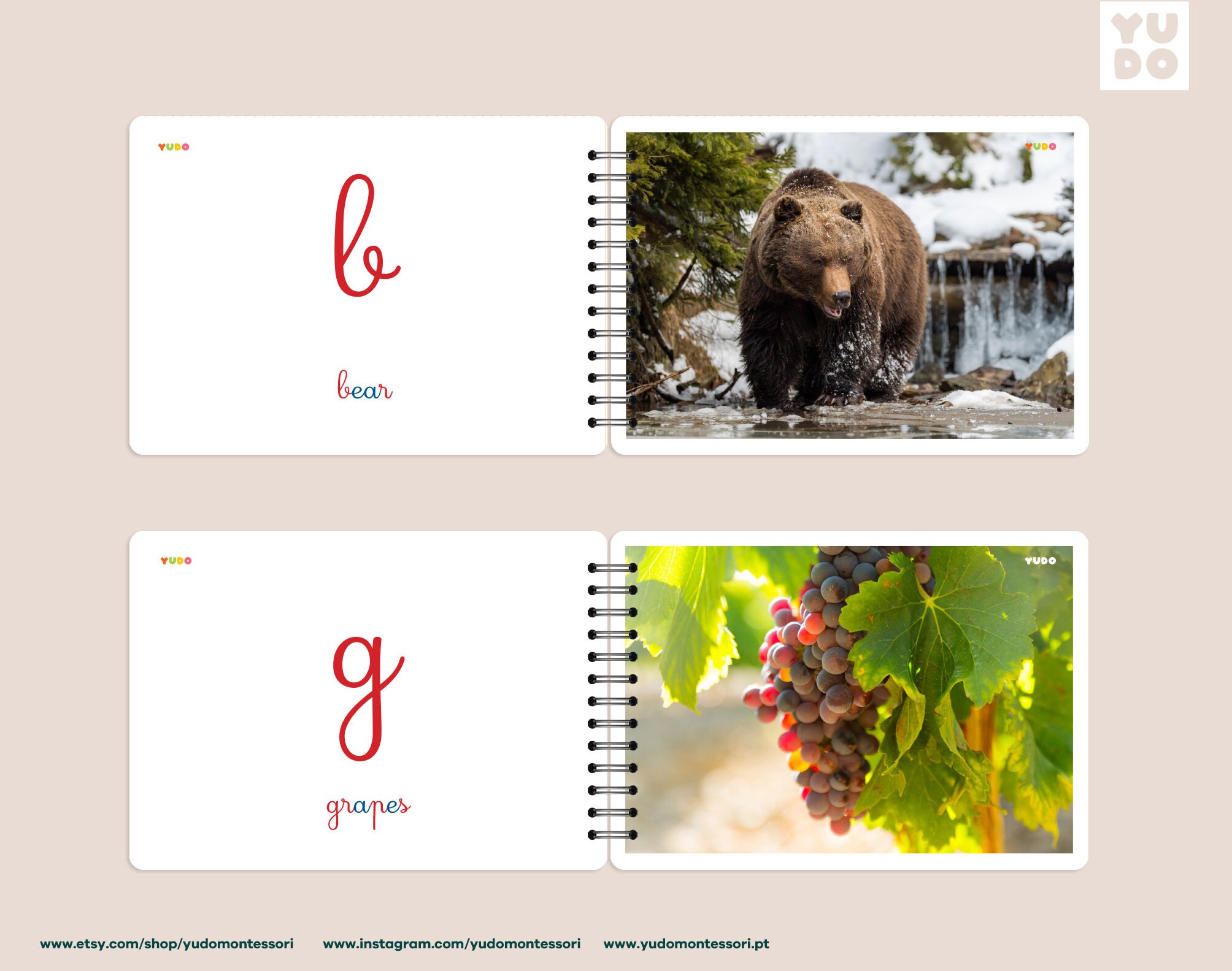 Beginning Sounds Activity, Inicial Sounds Booklet, Phonemic Awareness ...