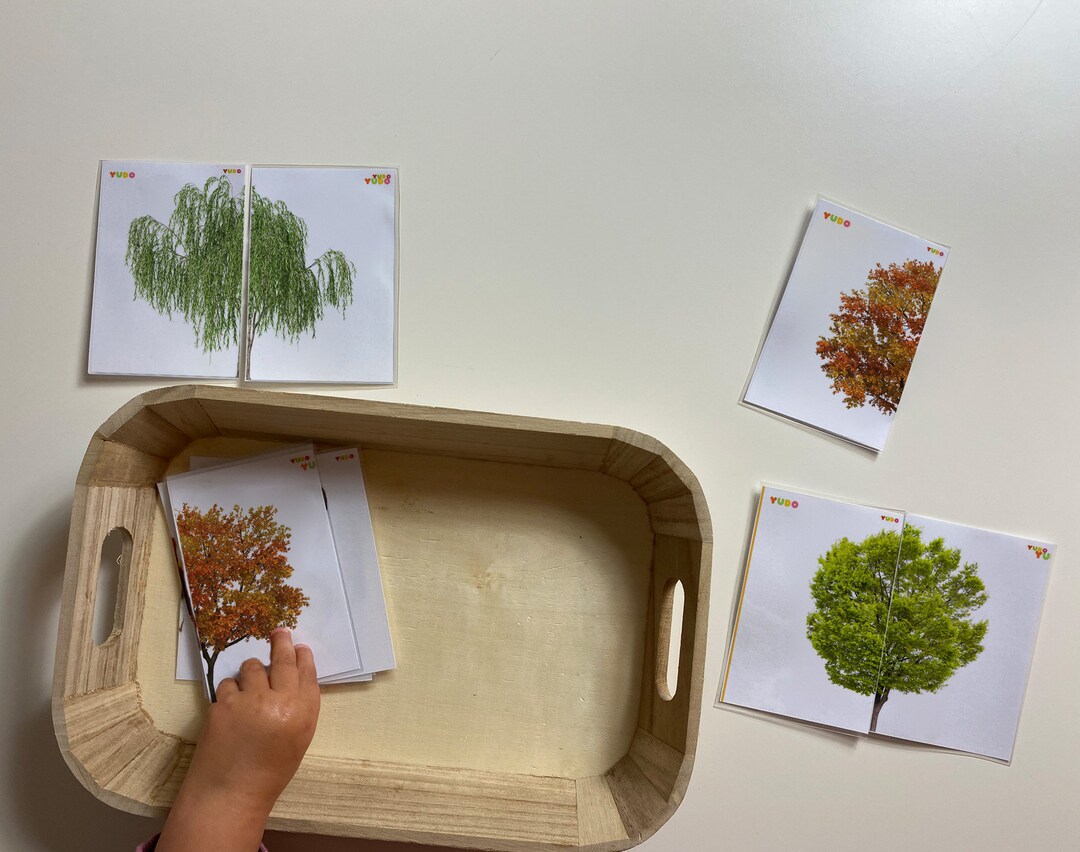 Tree Symmetry Matching Card Activity for Kids, Botanic Symmetry Puzzle ...