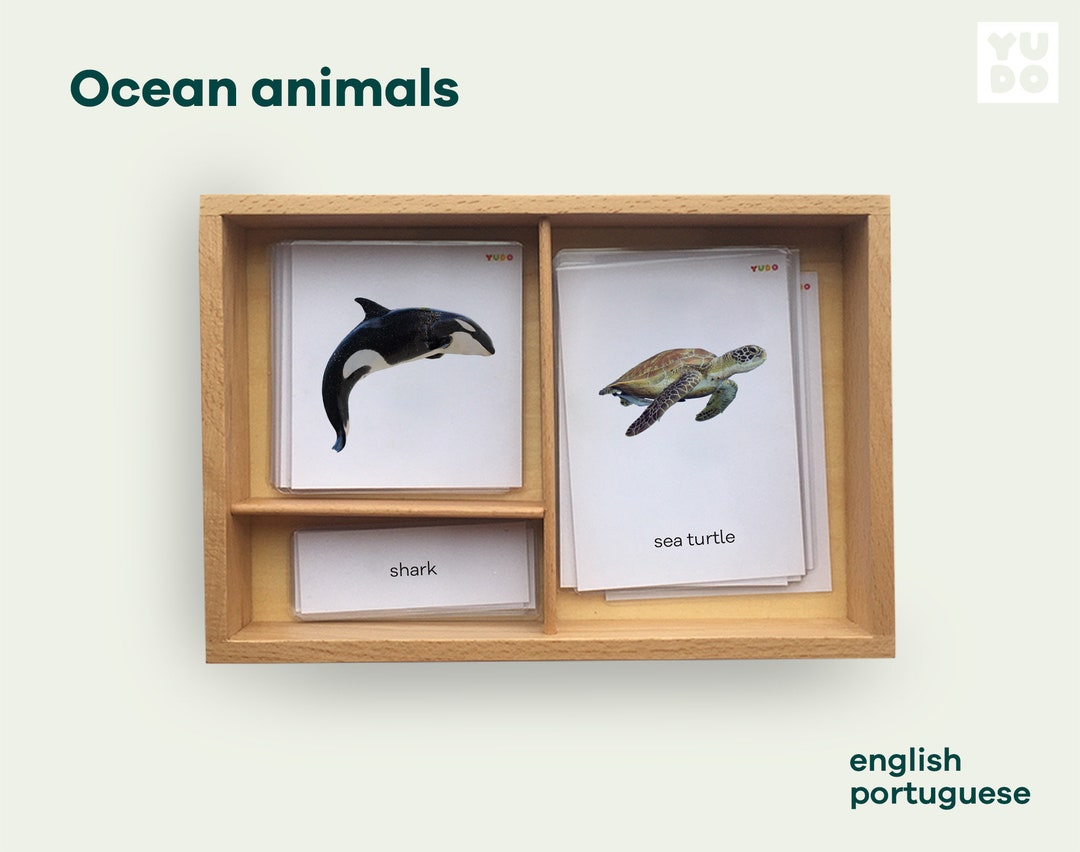 22 OCEAN ANIMALS Montessori Cards, Aquatic Creatures Flashcards ...
