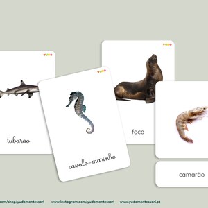 22 OCEAN ANIMALS Montessori Cards, Aquatic Creatures Flashcards ...