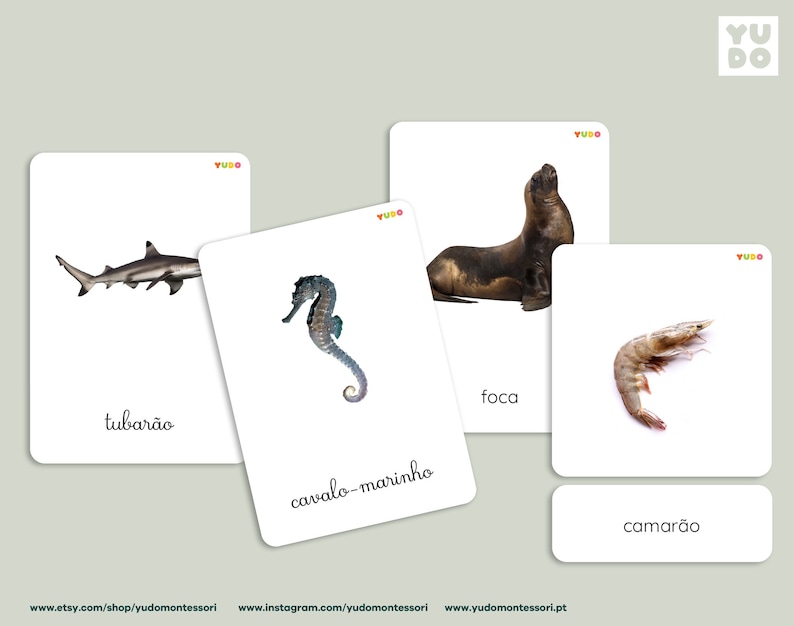 22 OCEAN ANIMALS Montessori Cards, Aquatic Creatures Flashcards ...