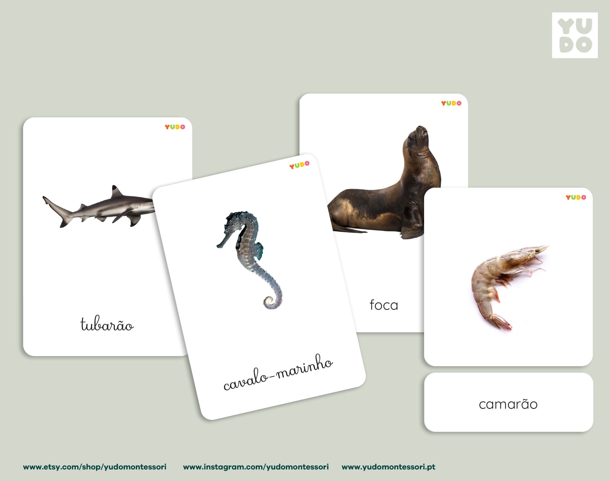 22 OCEAN ANIMALS Montessori Cards Aquatic Creatures - Etsy
