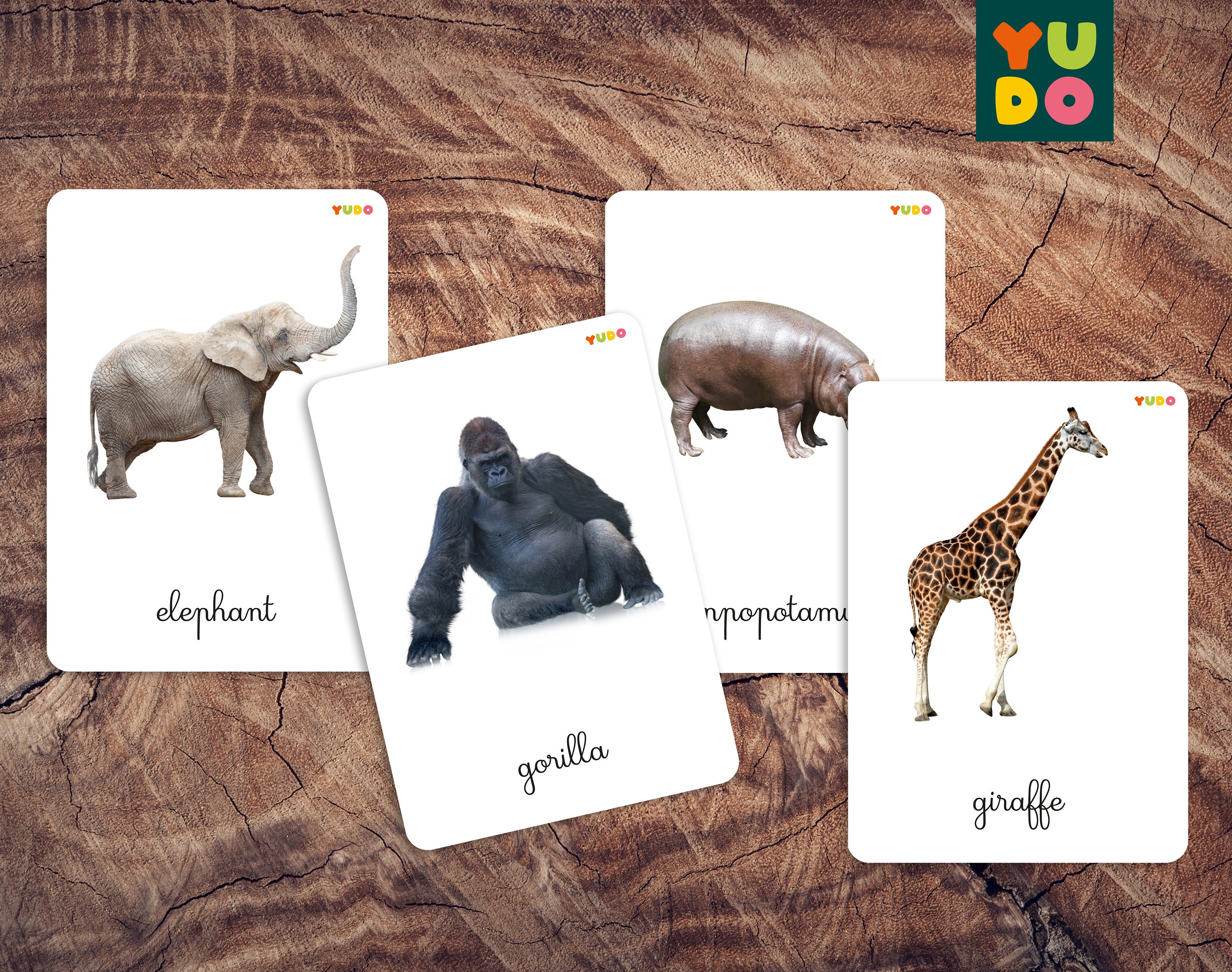ANIMALS OF AFRICA 3 Part Cards, Montessori Printables, Nomenclature ...