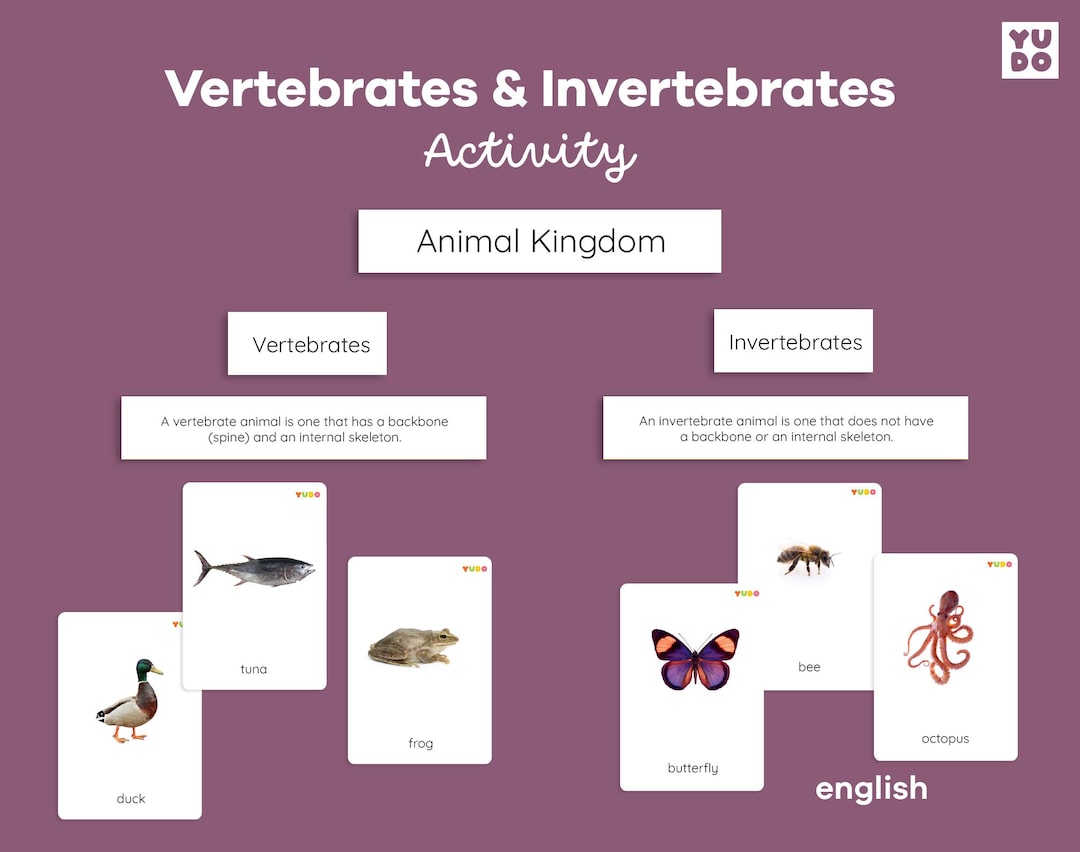 Vertebrates & Invertebrates Sorting Activity, Montessori Zoology Unit ...
