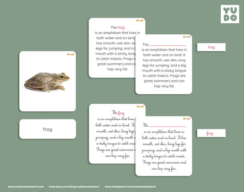 BUNDLE Part of the Frog Definition Cards and Booklet, Amphibians ...