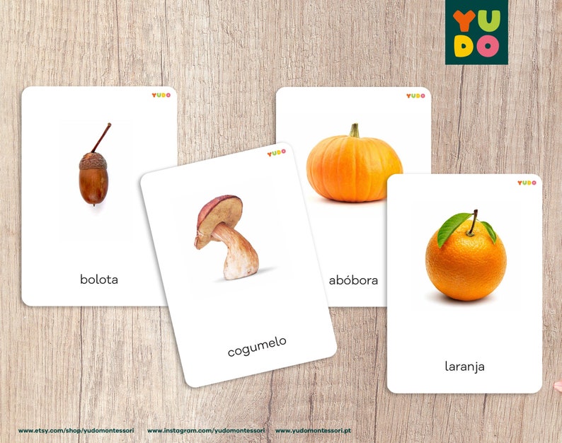 AUTUMN Vocabulary. FALL Elements. Montessori 3 Part Cards. Montessori ...