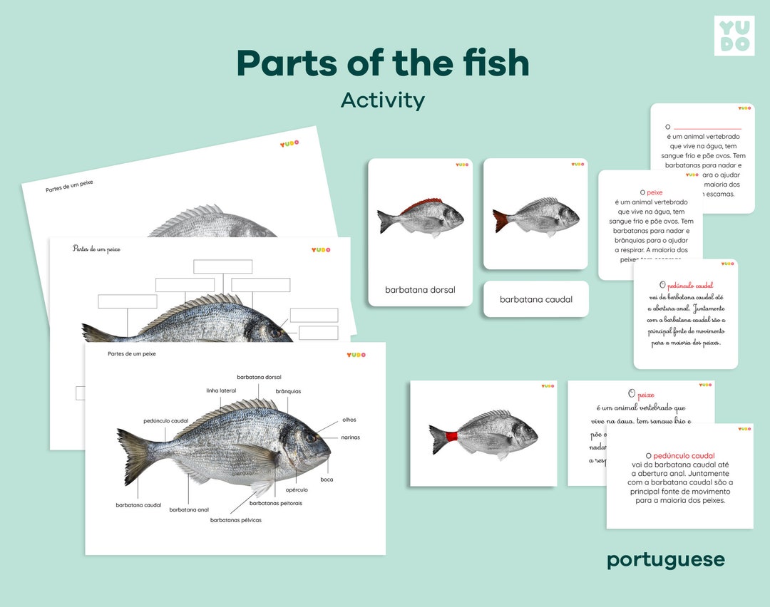 Fish Anatomy Nomenclature Book, Montessori Fish Zoology Unit Study ...