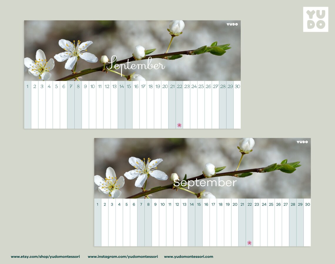Montessori Linear Calendar 2024, Printable Classroom Calendar PDF ...