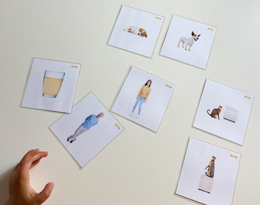 ANTONYMS Matching Cards With Real Images, Opposites Montessori Cards ...