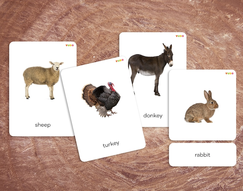 Farm Animal Flashcards, Language Cards, 3 Part Montessori Nomenclature ...