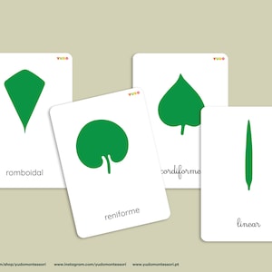 Montessori Leaf Shapes Control Chart, Montessori Botany Cabinet Cards ...