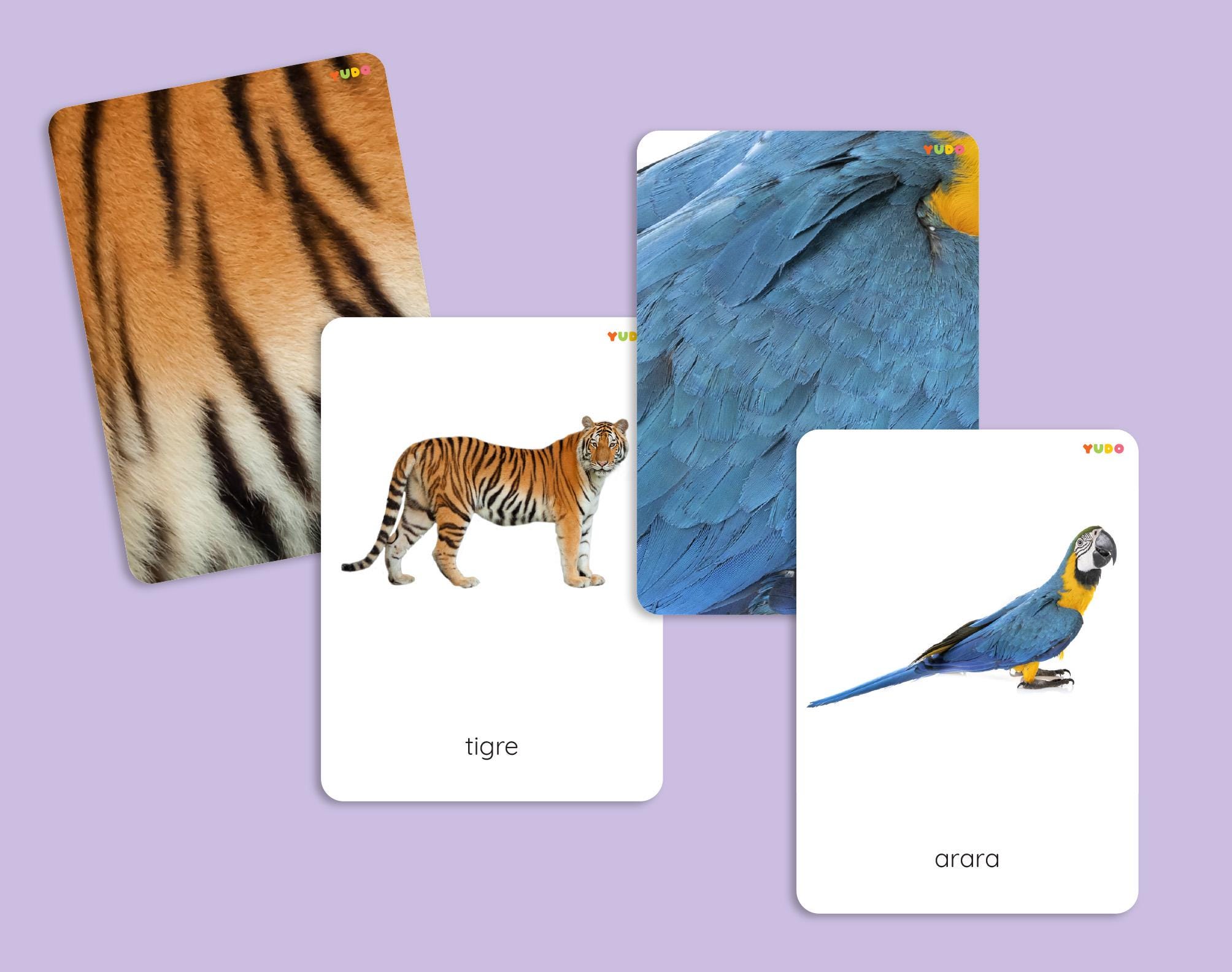 Animal Pattern Matching Printable Cards for Kids, Zoo Animals Details ...