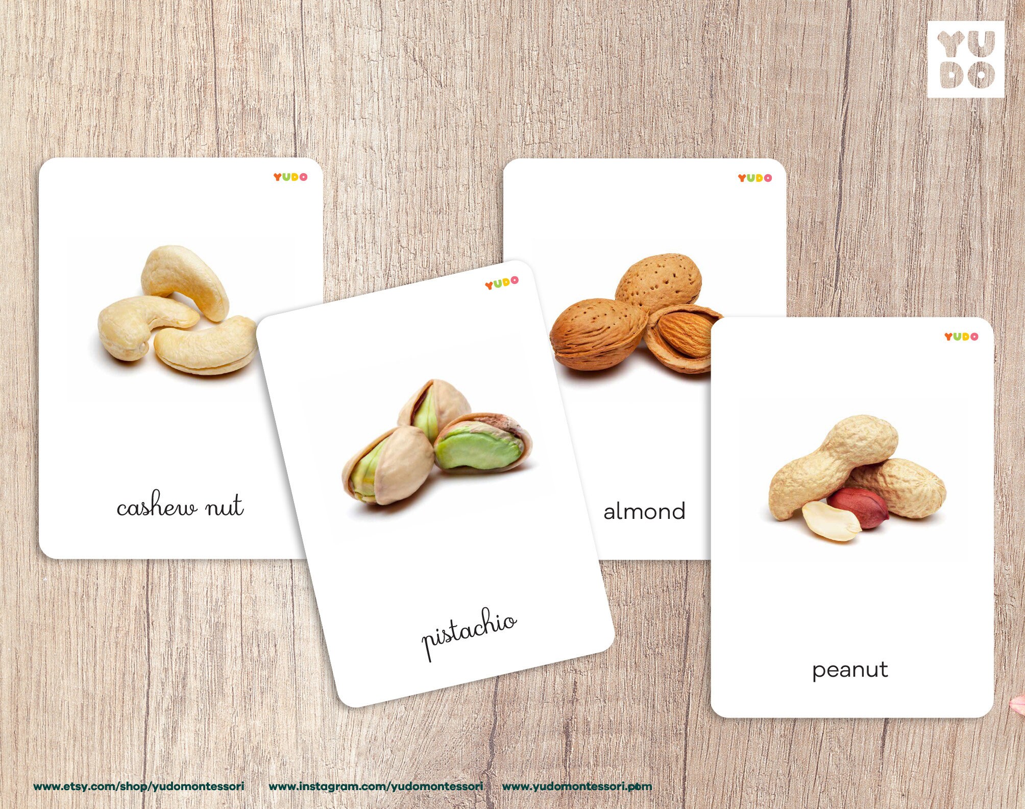 10 NUTS Montessori Cards With Real Pictures, Flash Cards, Nomenclature ...