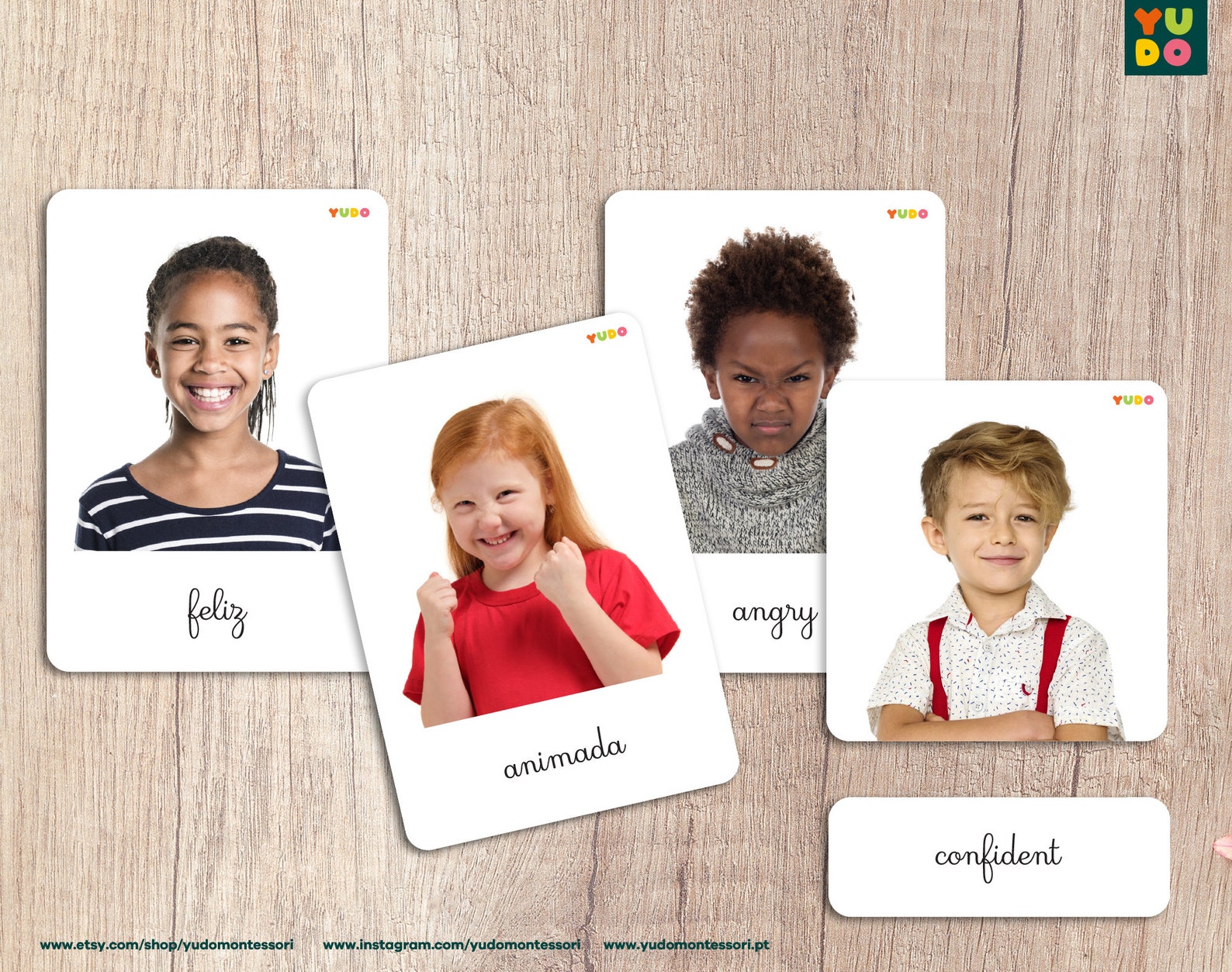 REAL EMOTIONS Montessori 3 Part Card for Print, Digital Classified ...
