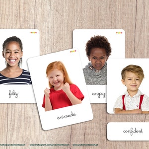 REAL EMOTIONS Montessori 3 Part Card for Print, Digital Classified ...