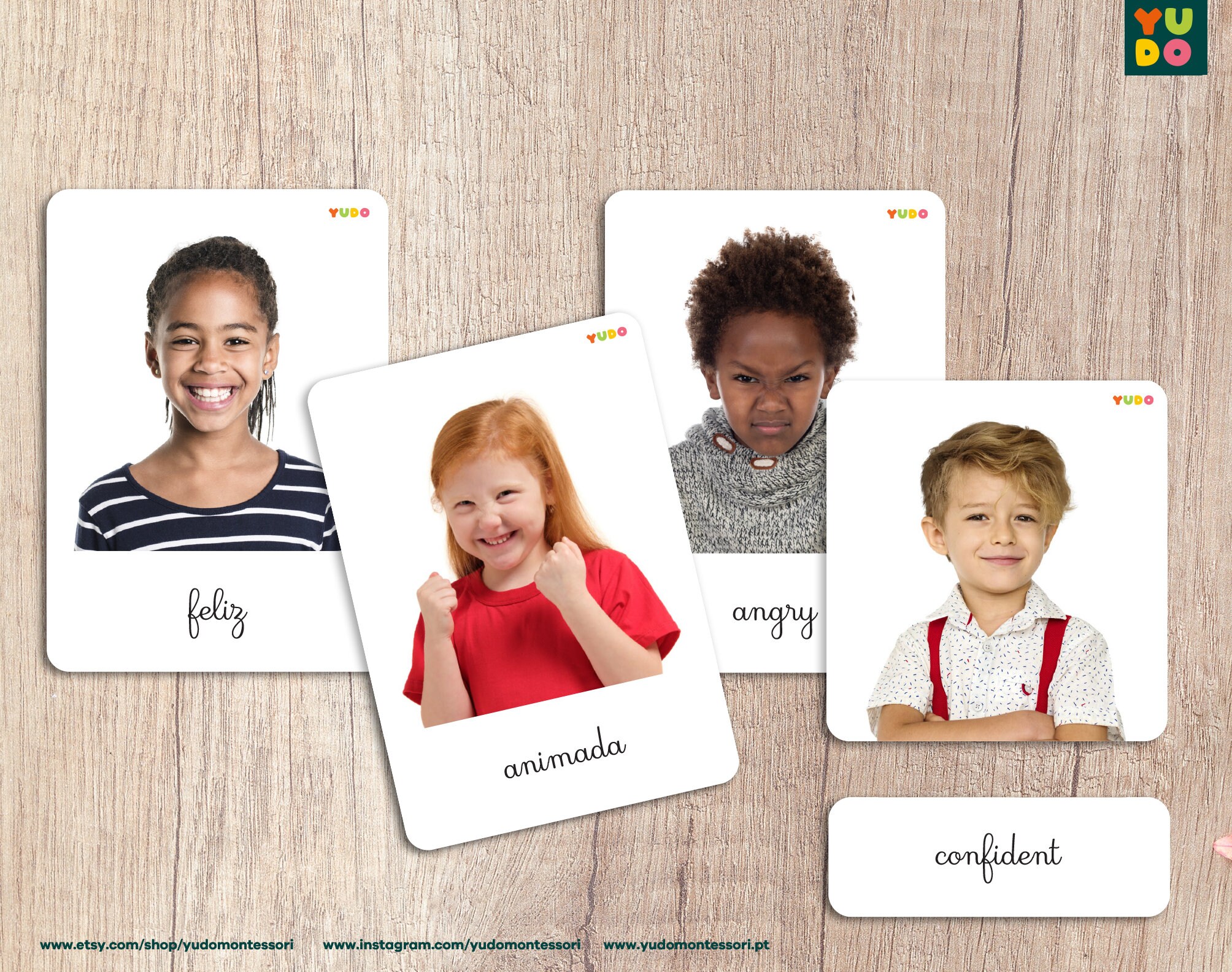 REAL EMOTIONS Montessori 3 Part Card for Print, Digital Classified ...