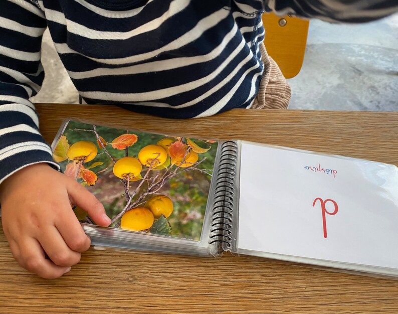 Beginning Sounds Activity, Inicial Sounds Booklet, Phonemic Awareness ...