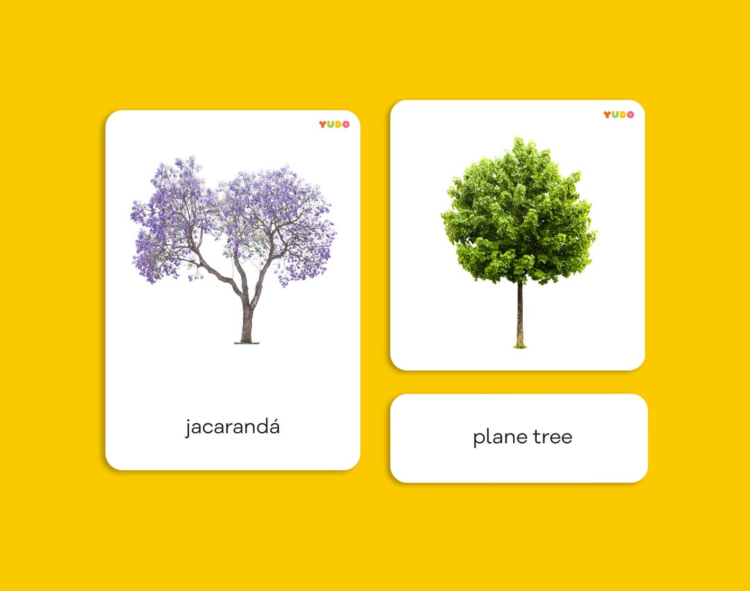 TREES Recognition Cards in Portuguese and English, Montessori Botanic ...