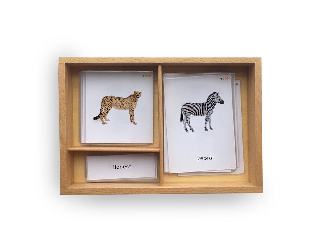 ANIMALS OF AFRICA 3 Part Cards, Montessori Printables, Nomenclature ...