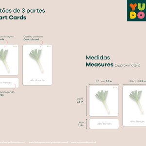 AUTUMN Vocabulary. FALL Elements. Montessori 3 Part Cards. Montessori ...