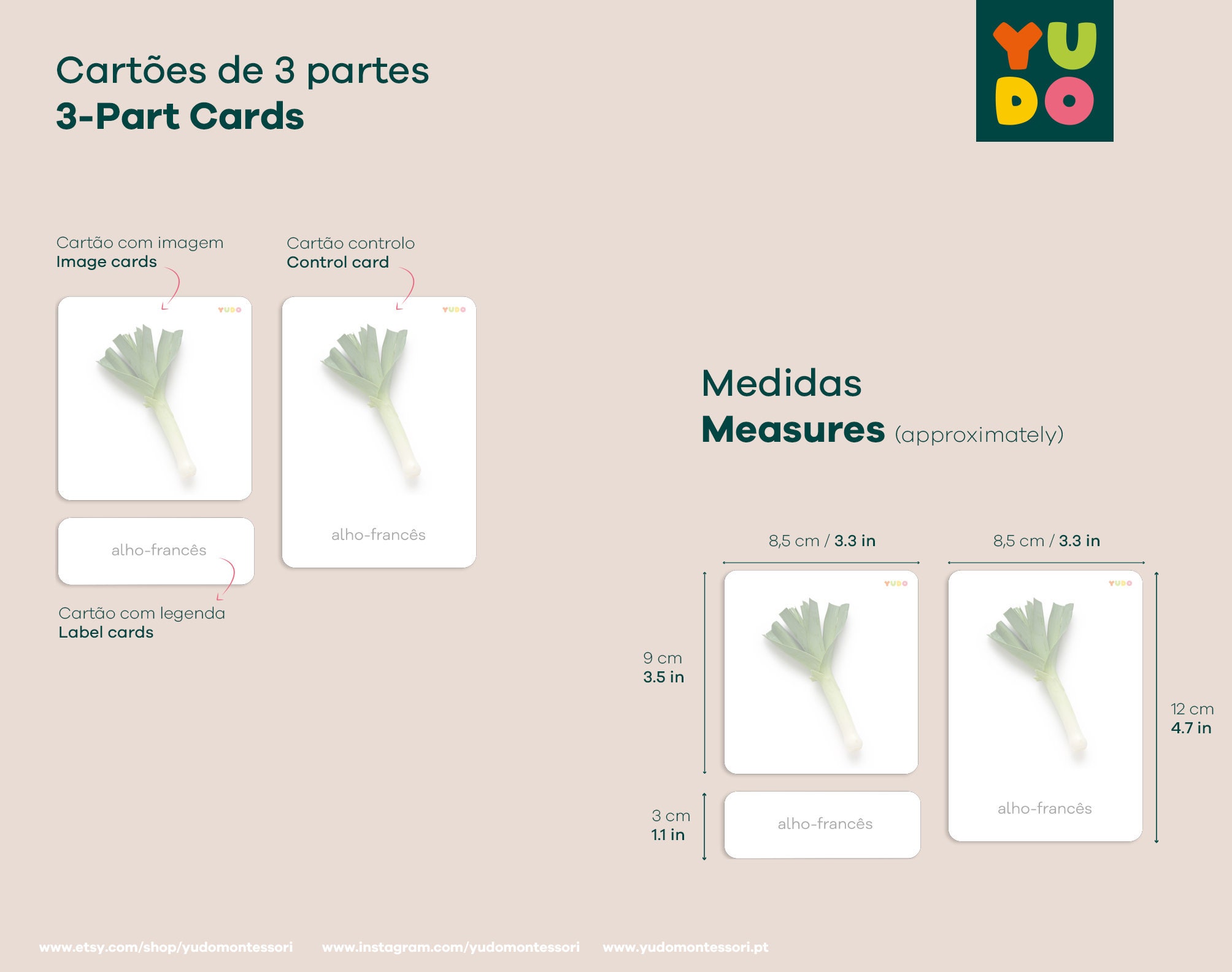 AUTUMN Vocabulary. FALL Elements. Montessori 3 Part Cards. Montessori ...