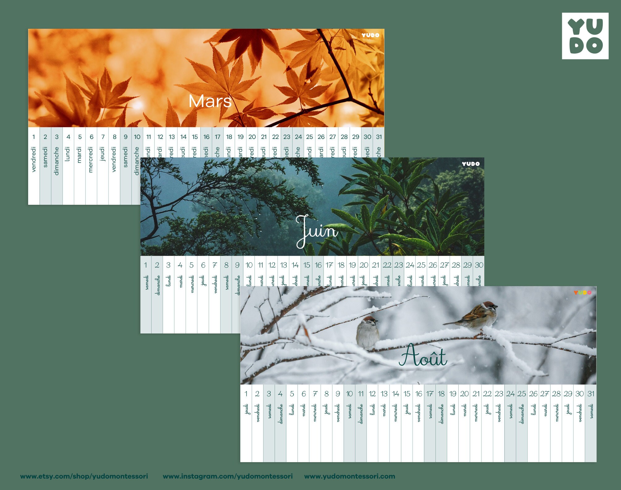 2024 Beam of Time Calendar, South Hemisphere Annual Calendar in French ...