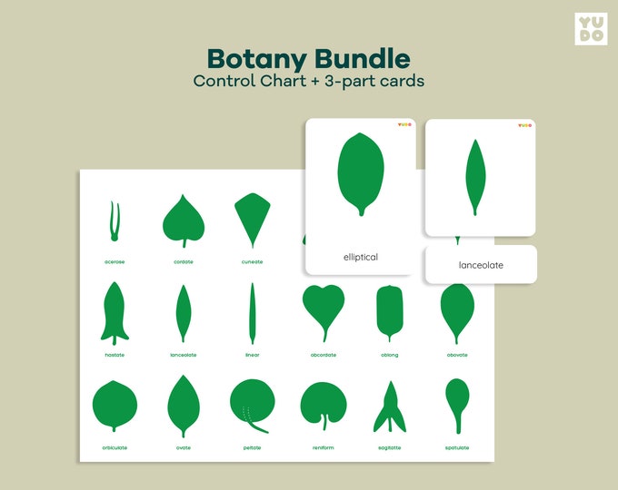 Montessori Leaf Shapes Control Chart, Montessori Botany Cabinet Cards ...