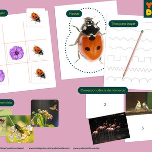 Ladybug and Spring BUNDLE Activities for Kids, Nature Study Preschool ...