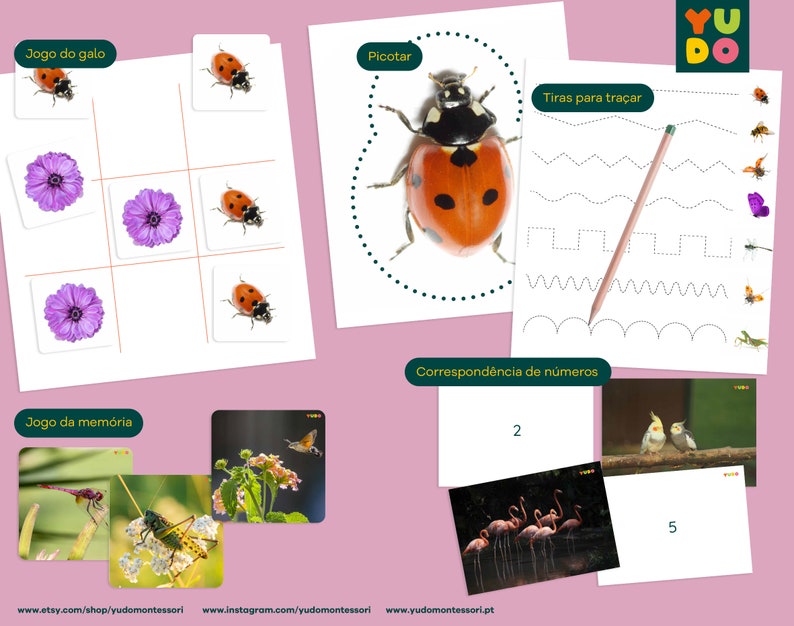 Ladybug and Spring BUNDLE Activities for Kids, Nature Study Preschool ...