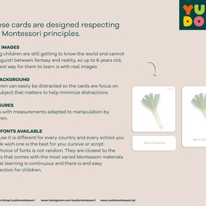 Montessori Flags of Europe 3-part Cards, Geography for Kids, Vocabulary ...