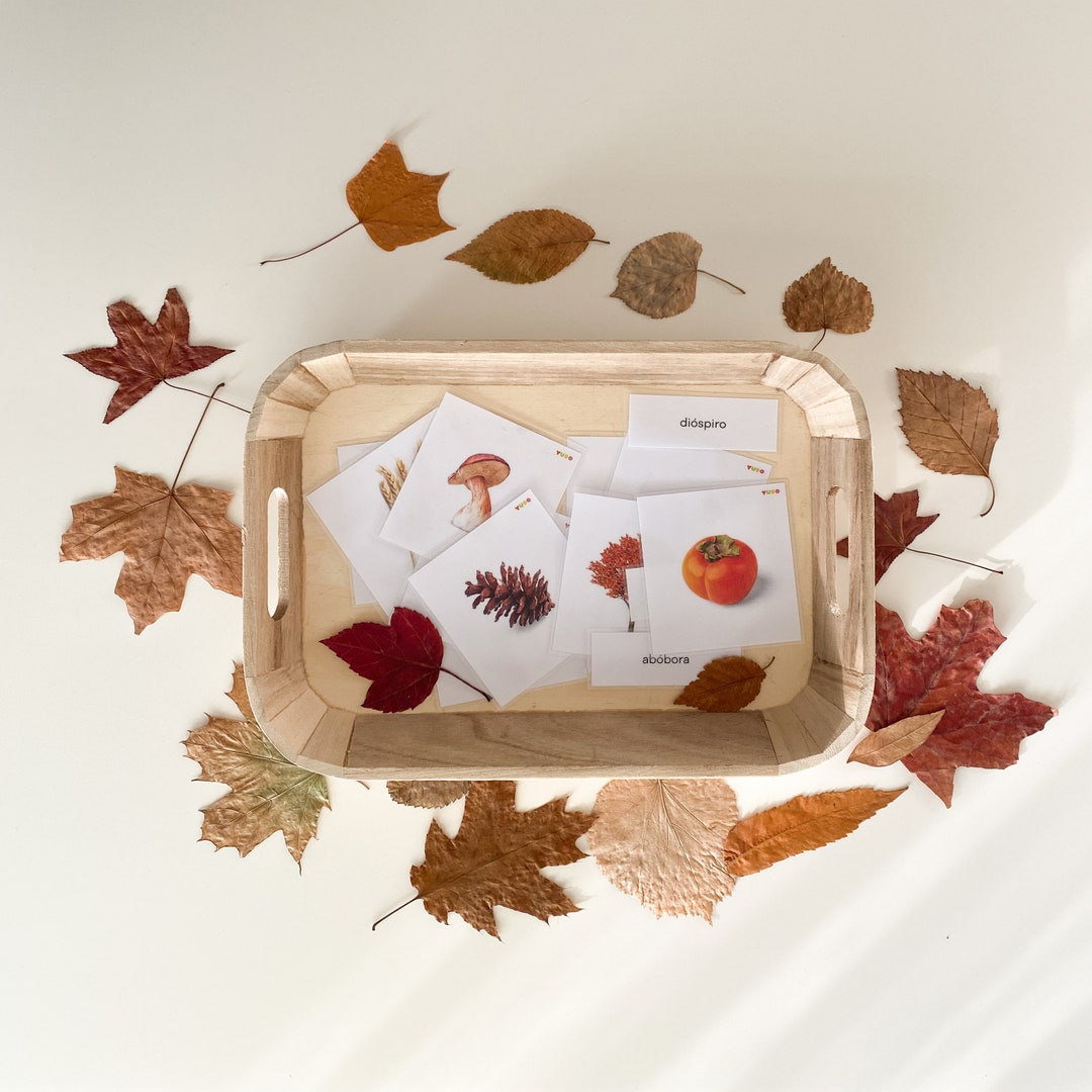 AUTUMN Vocabulary. FALL Elements. Montessori 3 Part Cards. Montessori ...
