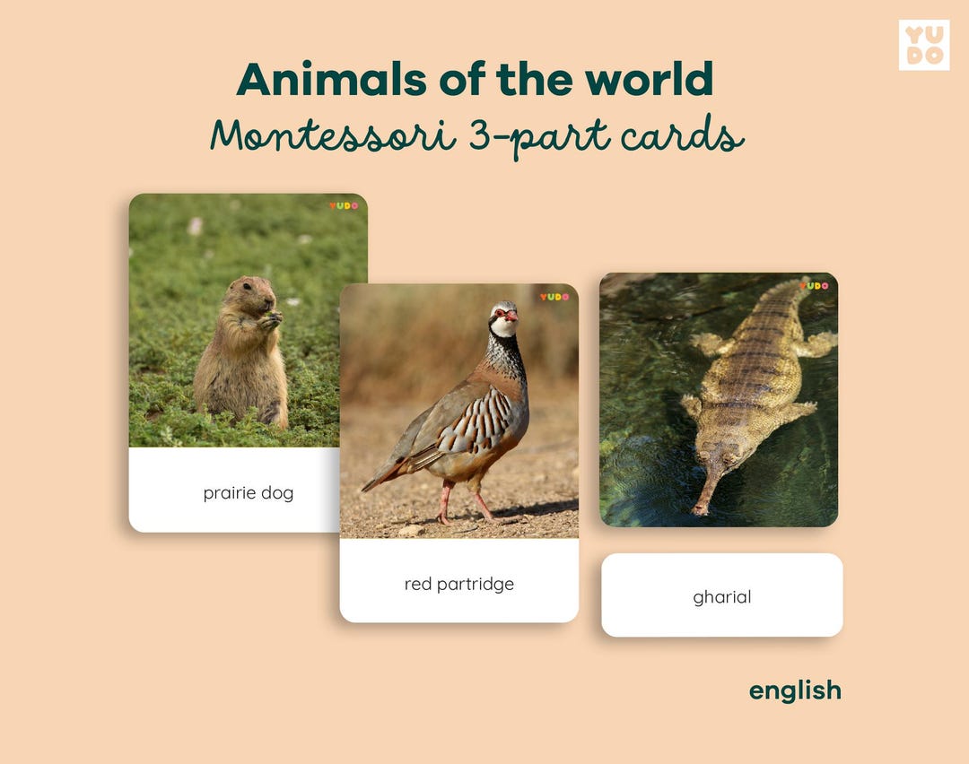 World Animals Montessori 3 Part, Nomenclature Cards, Printable 7 ...