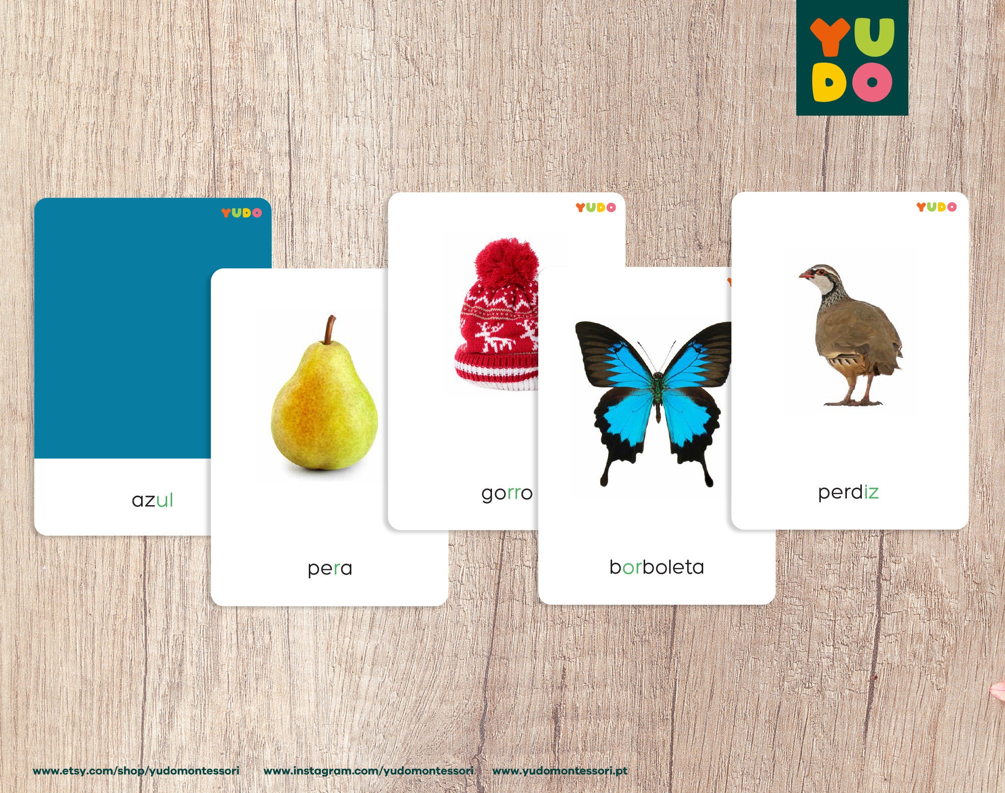 172 Special Reading Case Cards in Portuguese, Montessori 3 Part Cards ...