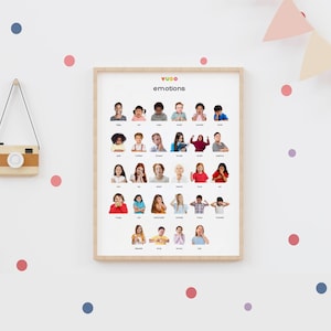 REAL EMOTIONS Montessori 3 Part Card for Print, Digital Classified ...