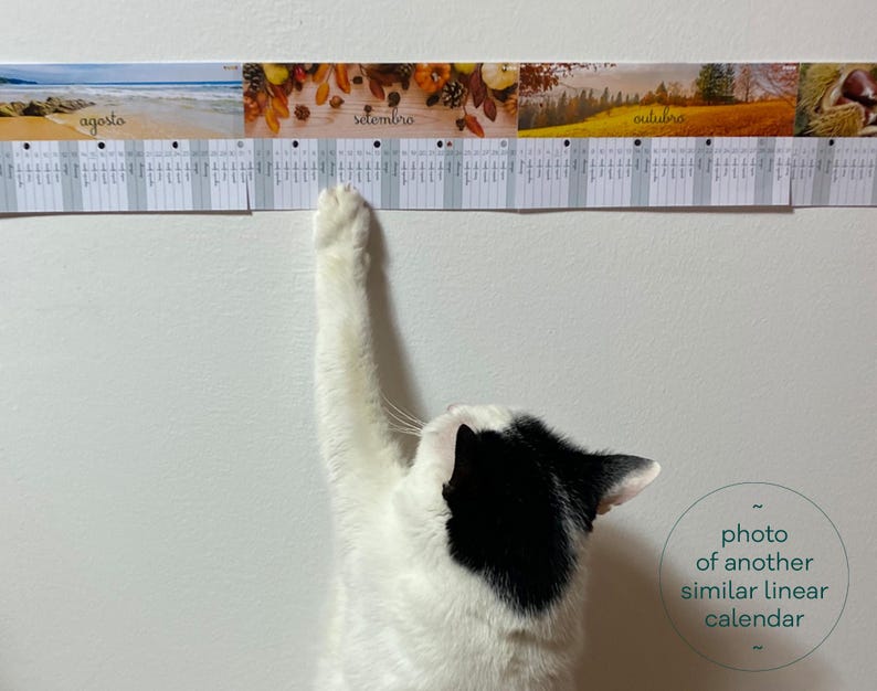 2026 Montessori Linear Calendar, Printable Classroom Calendar PDF ...