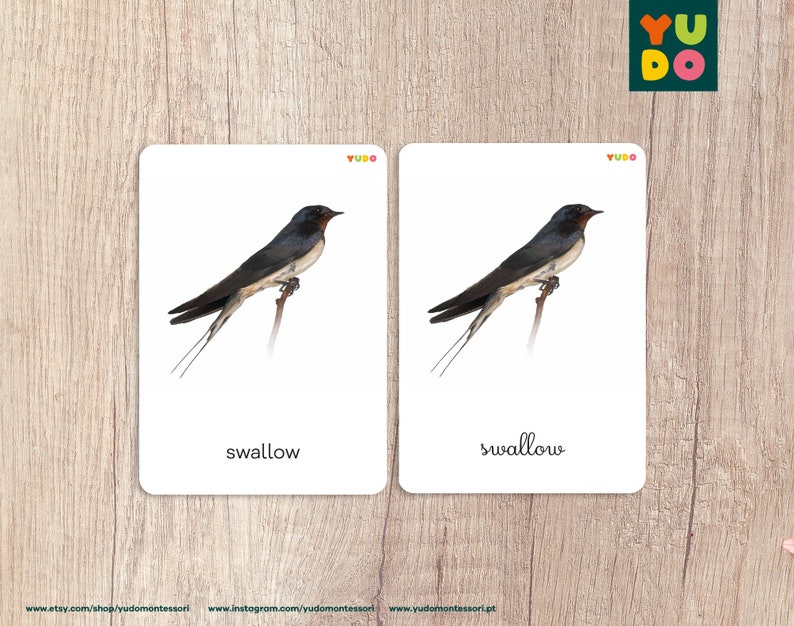 SPRING Montessori 3 Part Cards With Real Pictures. Language Cards for ...